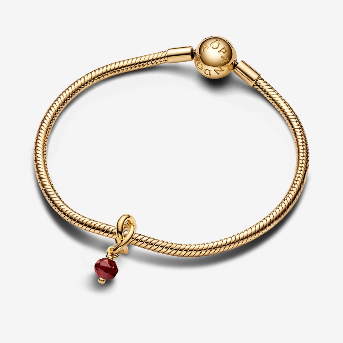 Pandora January Birthstone Eternity Circle Dangle Charm – Coe & Co. Stores